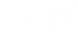 Pockify™️ World's Smallest Phone